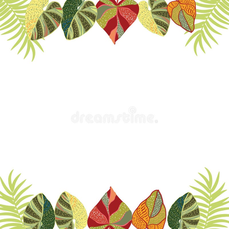 Vector Tropical Jungle Frame with Decorative Leaves Stock Vector ...