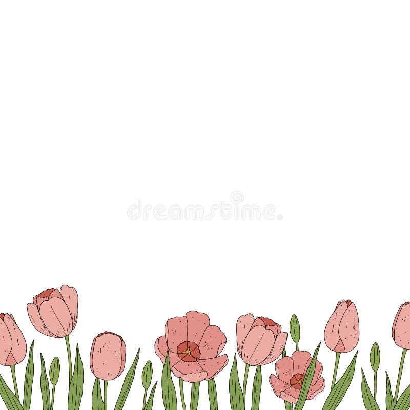 Tulip Border stock vector. Illustration of frame, garden - 23568716