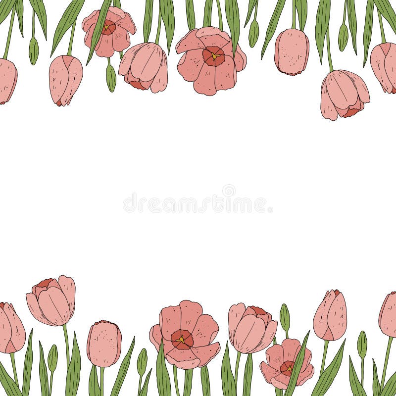 Vector Tulips Borders. Floral Frame. Stock Vector - Illustration of ...