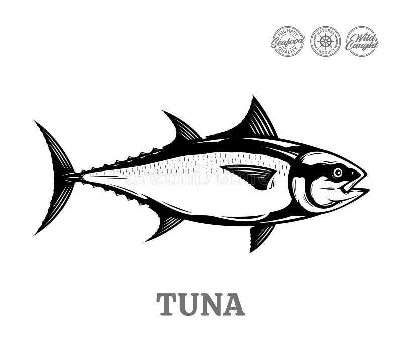 Vector Tuna Fish Illustration Stock Vector - Illustration of fishing ...