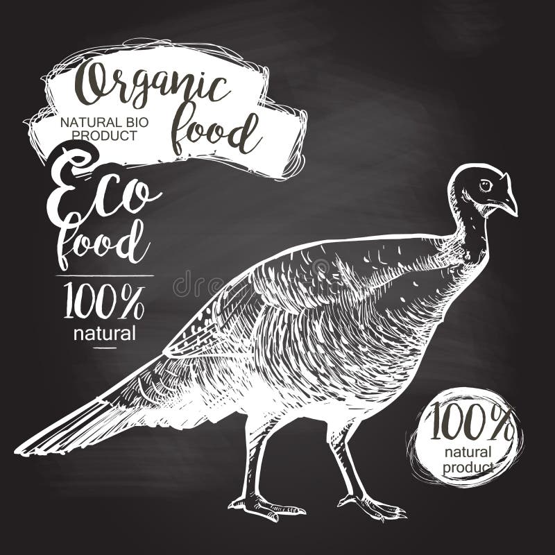 Turkey Chalkboard Background Stock Vector - Illustration of flower ...