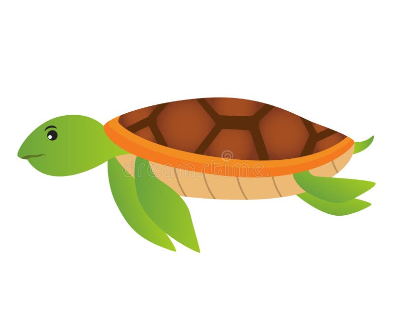 Vector of Turtle Flat Design Stock Illustration - Illustration of life ...