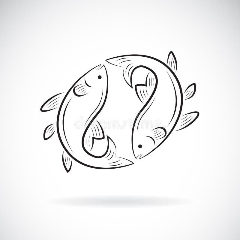 Vector of Two Fish Design on White Background. Aquatic Animal. Fish ...