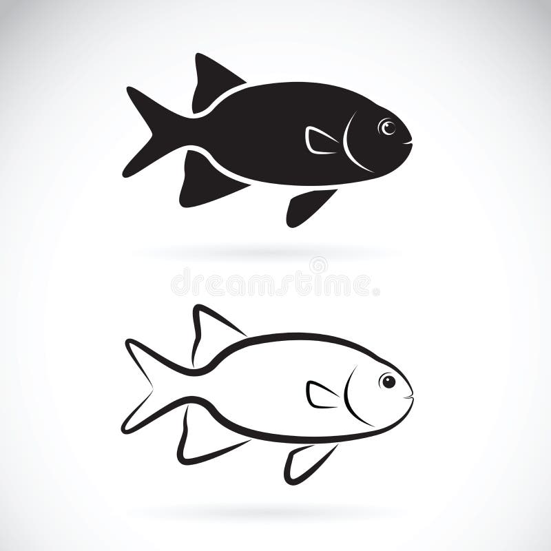 Vector of Two Fish on White Background. Stock Vector - Illustration of ...