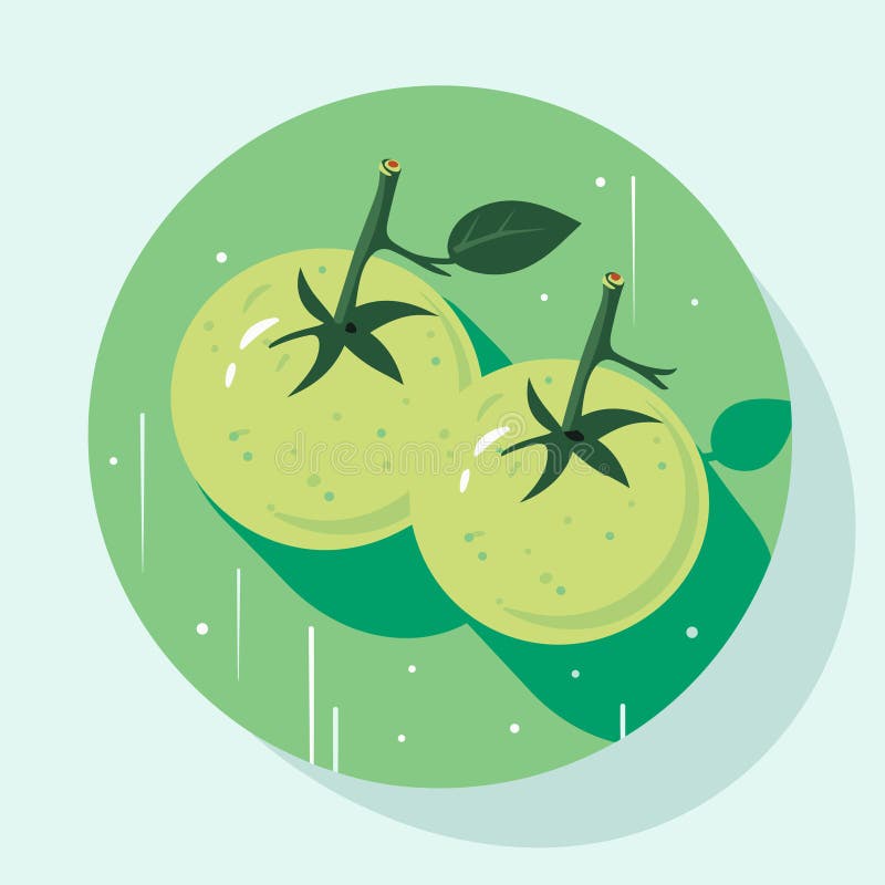 Vector of Two Lemons with Green Leaves on a Green Plate Stock Vector ...