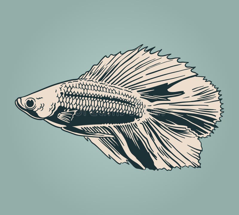 Vector uitstekende vissen vector illustratie. Illustration of duik ...