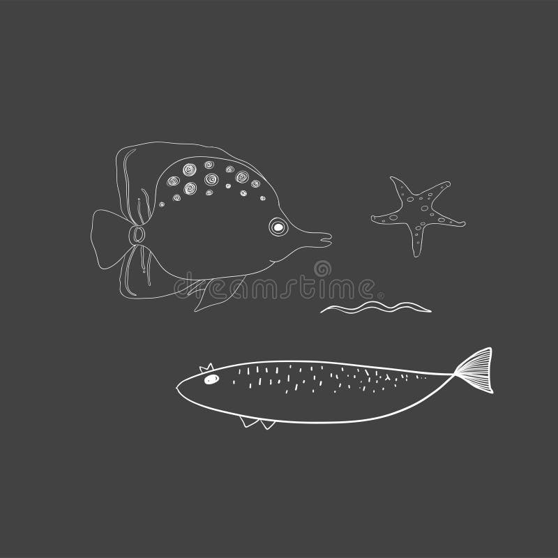 Vector of Underwater Sea Creatures Stock Vector - Illustration of ...