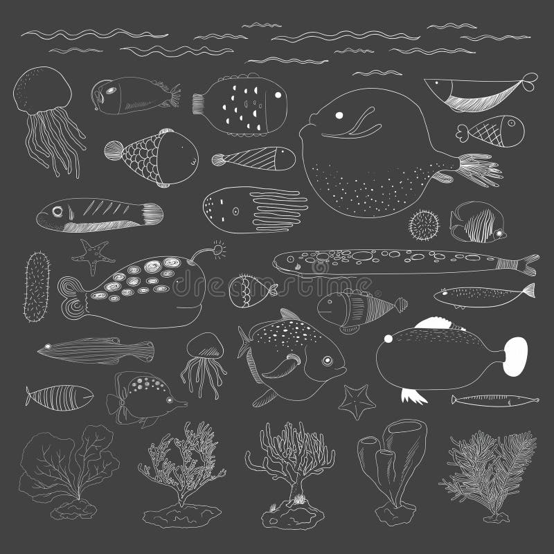 Vector of Underwater Sea Creatures Stock Vector - Illustration of ...