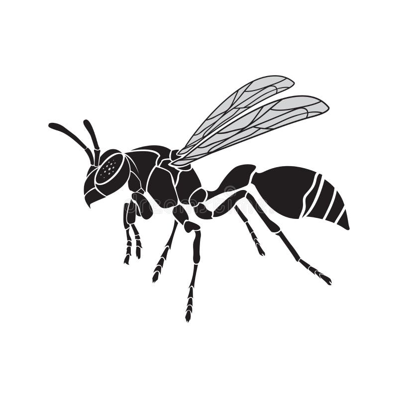 Vector Van Een Wesp Op Een Witte Achtergrond Insect Vector Illustratie ...