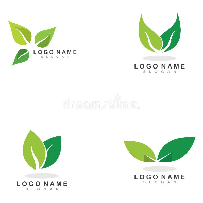Vectorsjabloonpictogram Van Het Groene Blad-logo Vector Illustratie ...