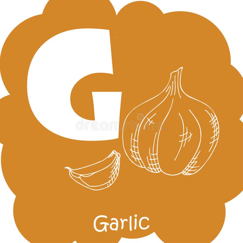 Vector Vegetable Alphabet for Education. Illustration for Kids Stock ...