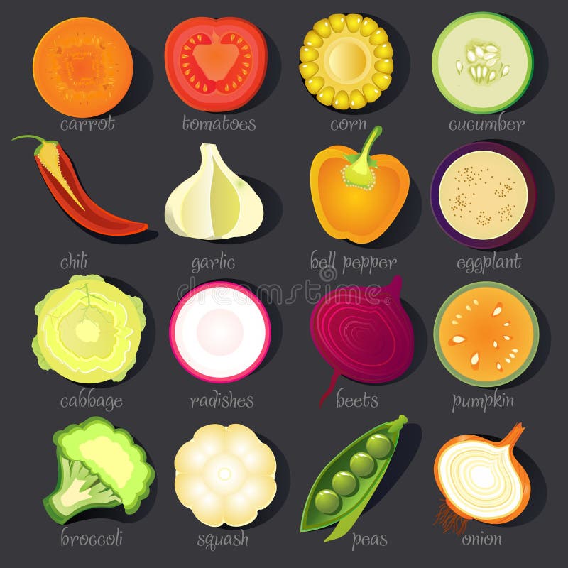 Vector vegetable icon set stock vector. Illustration of lunch - 43173764