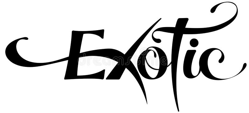 Exotic - Custom Calligraphy Text Stock Vector - Illustration of ...