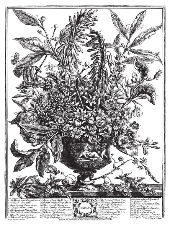 Victorian Line Drawing Stock Illustrations – 29,257 Victorian Line ...