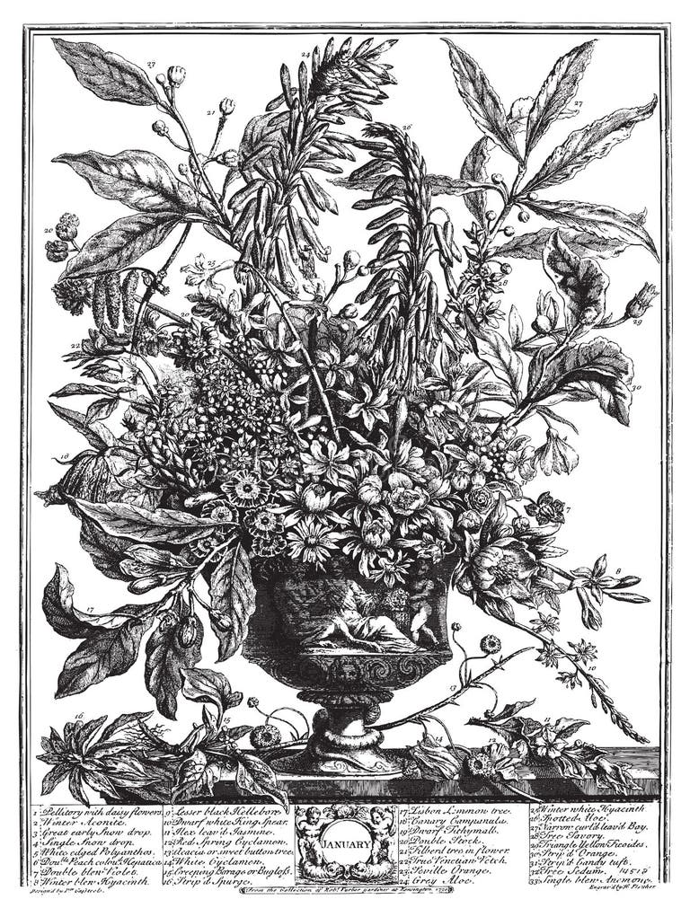 Victorian Line Drawing Stock Illustrations – 29,850 Victorian Line ...