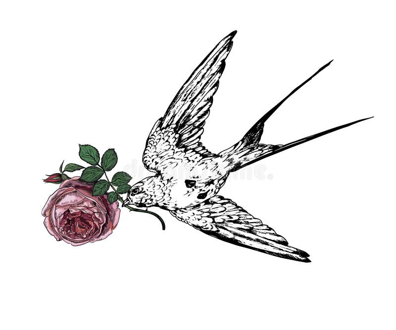 Vector Vintage Swallow Bird with Rose Flower Stock Vector ...