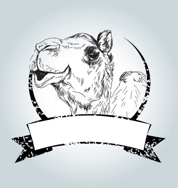 Vector Vintage Label with Camel Stock Vector - Illustration of ...