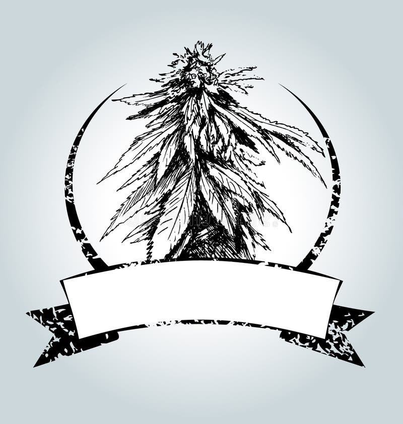 Vector Vintage Label with Marijuana Stock Vector - Illustration of farm ...