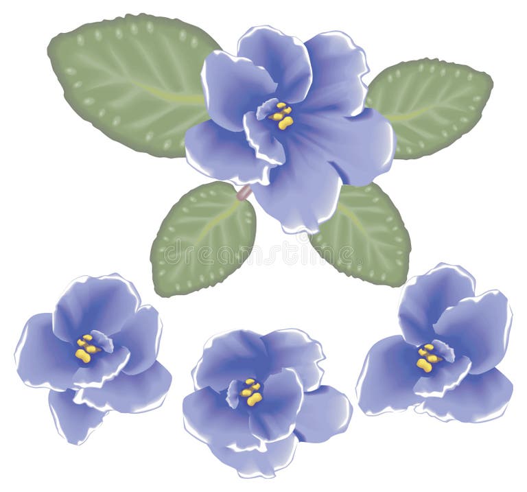 Vector violet flowers stock vector. Illustration of blue - 7770815