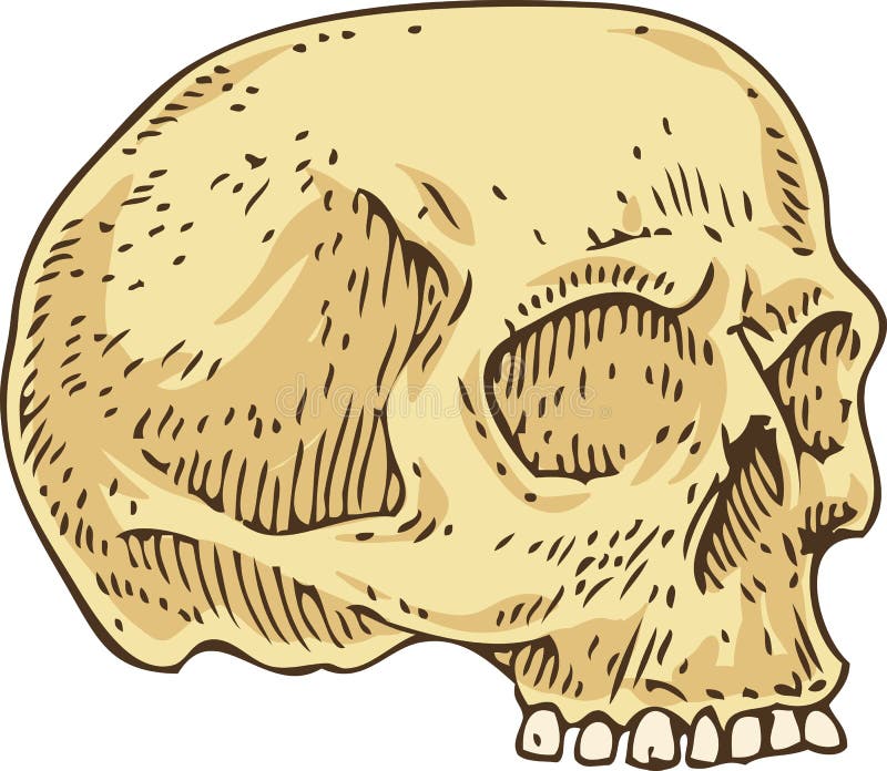 Vector Voodoo Skull stock vector. Illustration of magic - 114936871