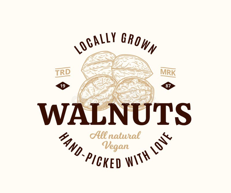 Vector walnut label design stock vector. Illustration of superfood ...