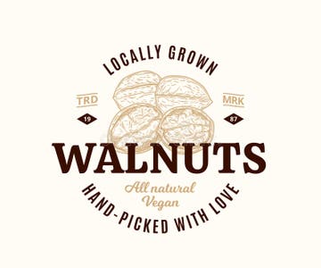 Vector walnut label design stock vector. Illustration of superfood ...