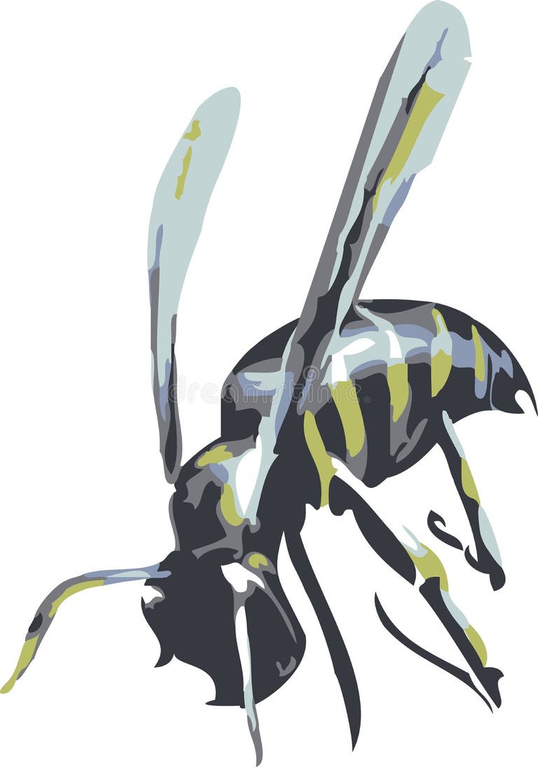 Wasp Clipart Stock Illustrations – 3,326 Wasp Clipart Stock ...