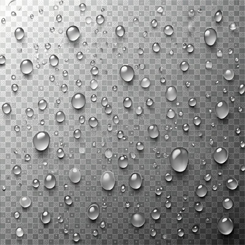 Vector Water Drops Condensation on Window Isolated Transparent ...