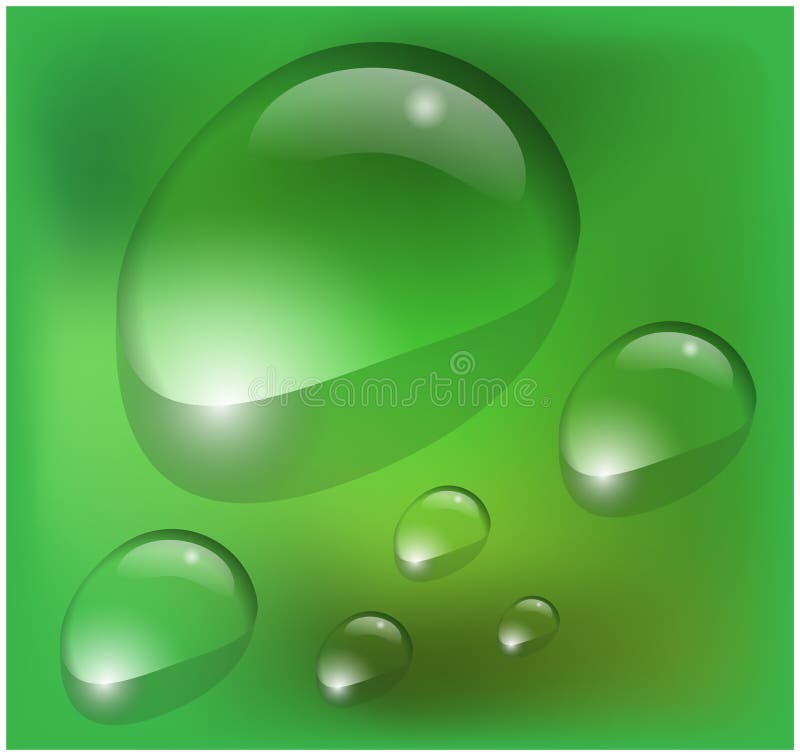 Vector Water Drops on Green Background Stock Vector - Illustration of ...