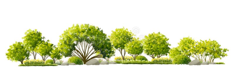 Vector Watercolor Tree or Forest Side View Isolated on White Background ...