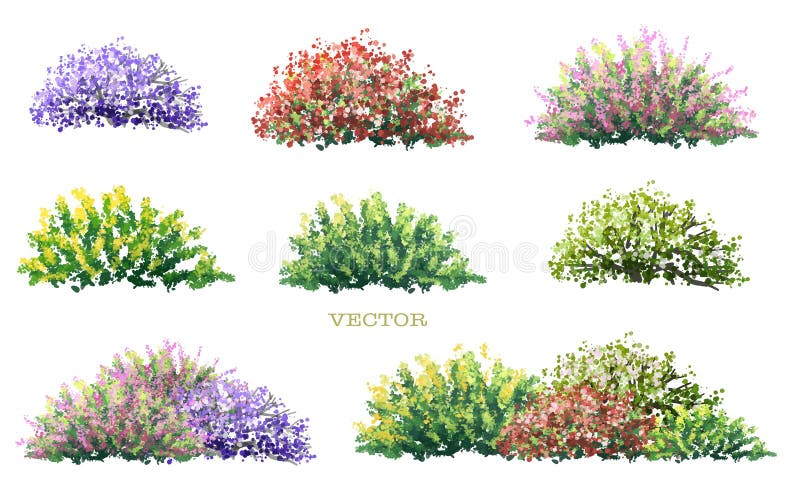 Watercolor Plant Elevation Stock Illustrations – 62 Watercolor Plant ...