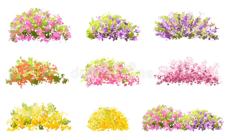 Watercolor Plant Elevation Stock Illustrations – 62 Watercolor Plant ...