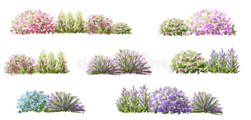 Set of Floral,botanical Garden Elevation View for Park Stock ...