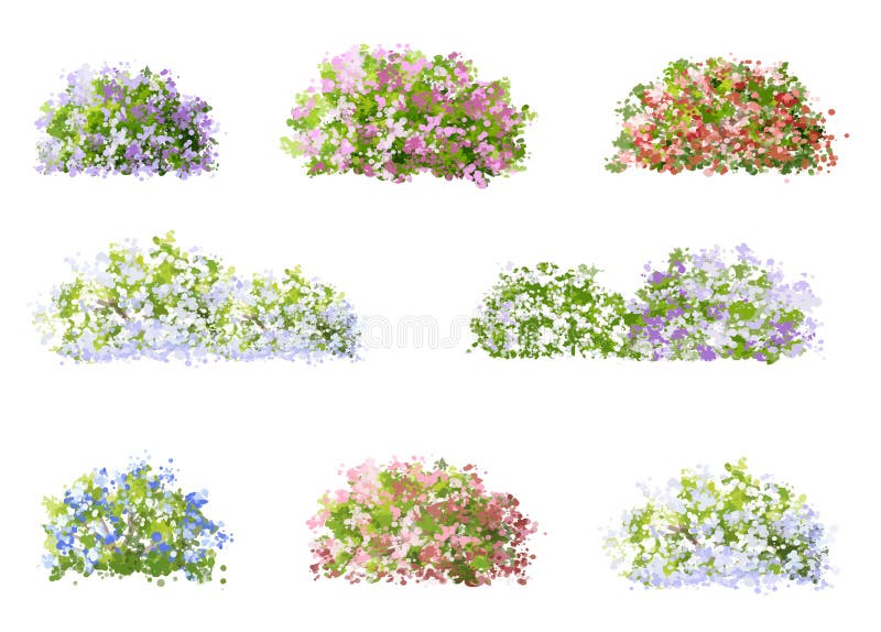 Watercolor Plant Elevation Stock Illustrations – 62 Watercolor Plant ...