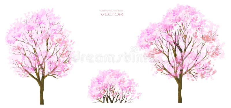 Vector Set of Flower Tree Side View Isolated on White Background for ...