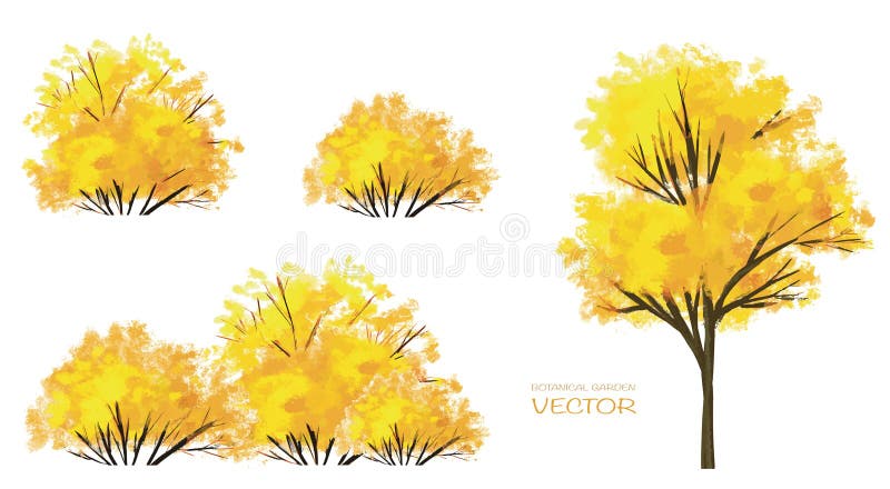Vector of Autumn Tree or Forest Side View Isolated on White Background ...
