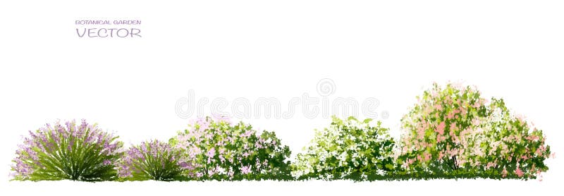 Vector Watercolor Blooming Flower Tree Side View Isolated on White ...