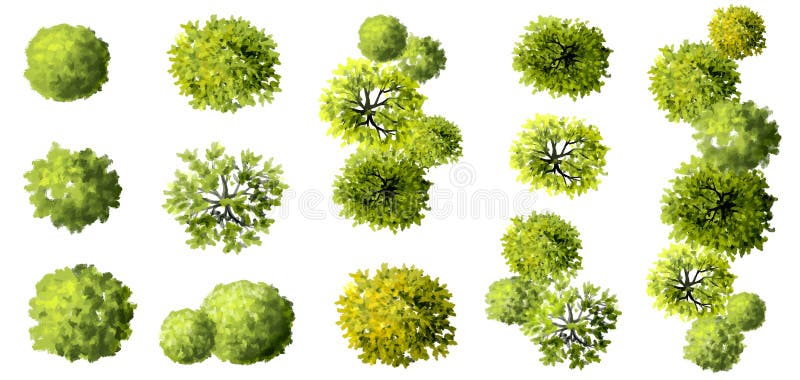 Vector Set of Top View Green Tree for Outdoor Plan or Map Stock Vector ...