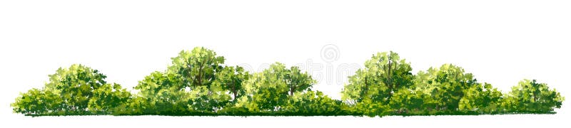 Green Tree ,forest with Grass Elevation for Landscape Scene Stock ...