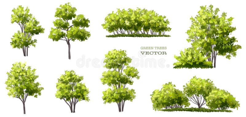 Green Tree ,forest with Grass Elevation for Landscape Scene Stock ...