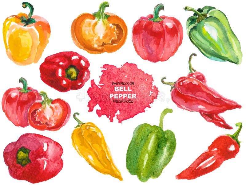 Bell pepper label sticker stock vector. Illustration of aubergine ...