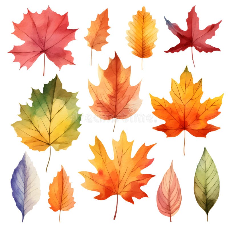 Vector Watercolor Set of Fall Leaves, Maple Leaf, Acorns, Berries ...