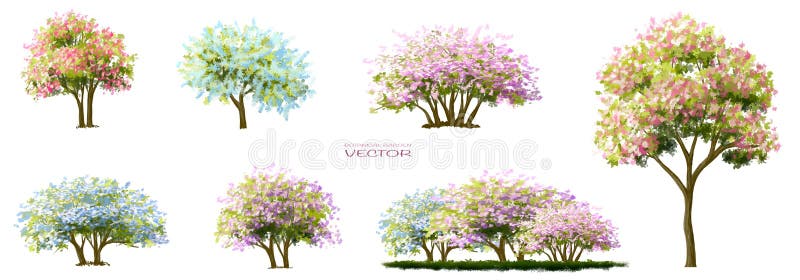 Vector Watercolor Set of Flower Tree Side View Isolated on White ...