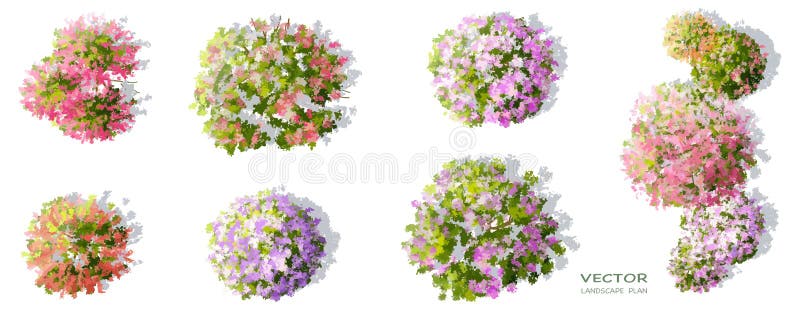 Vector Watercolor Set of Flower Tree Top View Isolated on White ...