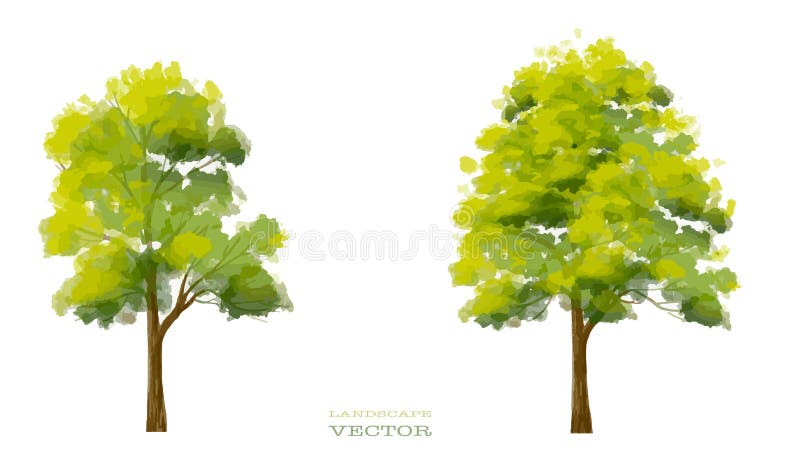 Vector Watercolor Set of Tree Side View Isolated on White Background ...