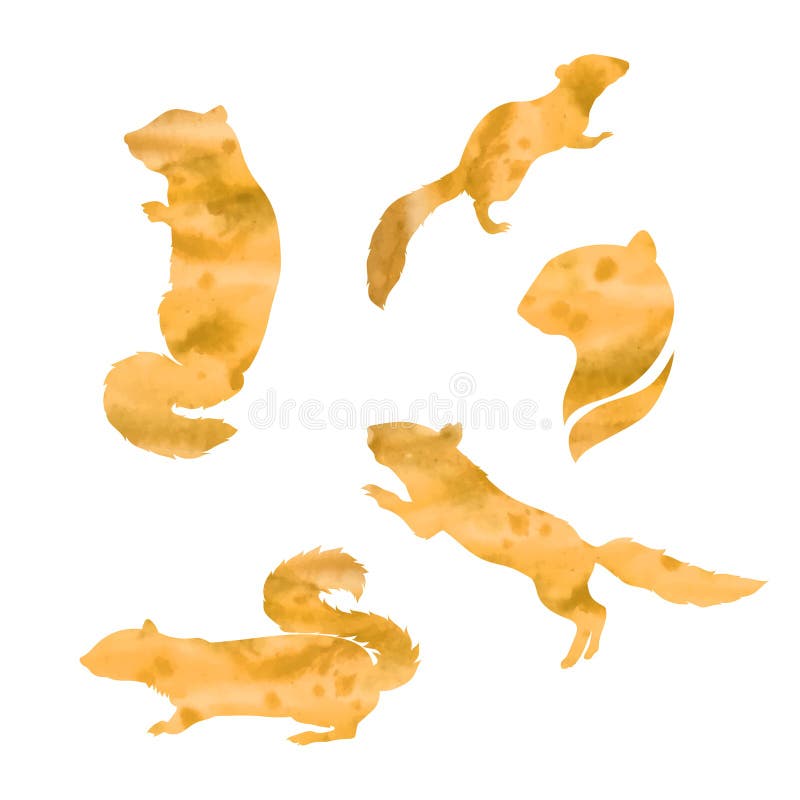 Vector Watercolor Silhouettes of a Chipmunk Stock Vector - Illustration ...