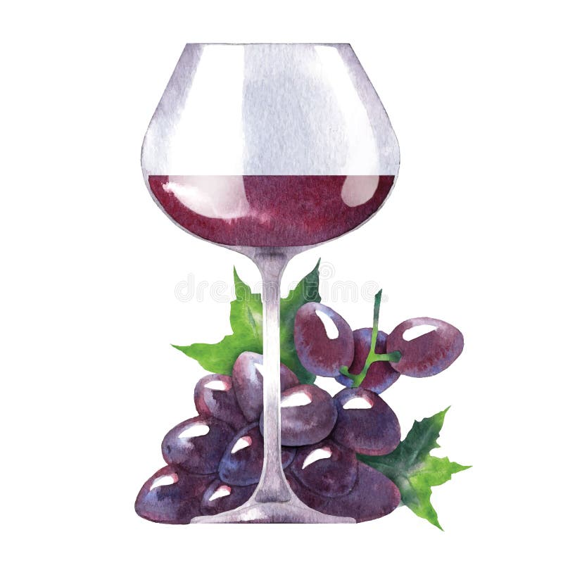 Vector Watercolor Sketch of Wine and Grapes. Stock Illustration ...