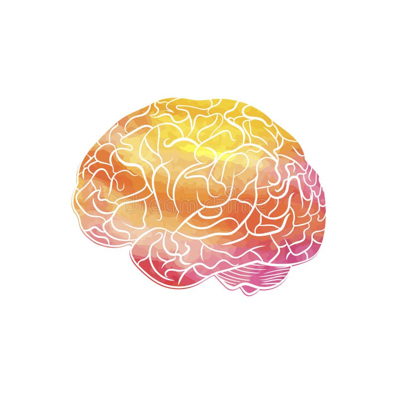 Vector Watercolor Texture Brain Isolated on White Background, Creative ...