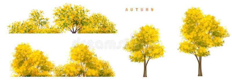 Tree or Forest Side View Isolated on White Background for Landscape ...