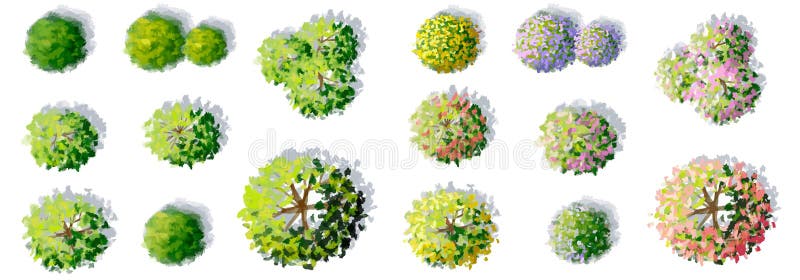 Vector Watercolor Blooming Flower Tree or Forest Top View Isolated on ...